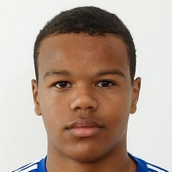 Steven Gaote - ROUGE Mémoire